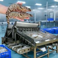 China Zolim Shrimp Processing Equipment Seafood Roller Sorting Machine for sale