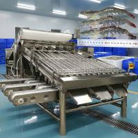 China Zolim Shrimp Processing Equipment Seafood Roller Sorting Machine for sale