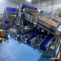 China Zolim Shrimp Processing Equipment Seafood Roller Sorting Machine for sale