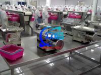 China 380V Automatic Shrimp Peeler CE Approved Shrimp Processing Machine for sale