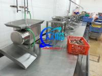 China Commercial Automatic Shrimp Splitting Machine Prawn Back Cutter Deveining Machine for sale