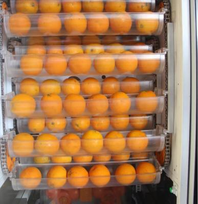 Cina Frutta automatica Juice Vending Machine arancio fresco 1000W per il deposito del supermercato in vendita