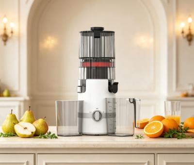 China Fresh Smart HJ102B Slow Masticating Juicer – The Easy Way to Fresh Juice with Smart Safety Lock, 135mm Chute, 200W Cold Press & Self-Cleaning for Every Family for sale