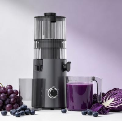 China HJ103 Silver Gray Slow Masticating Juicer – 135mm Wide Chute, 200W Motor, 1000ml Juice Cup, <70dB Quiet Operation for sale