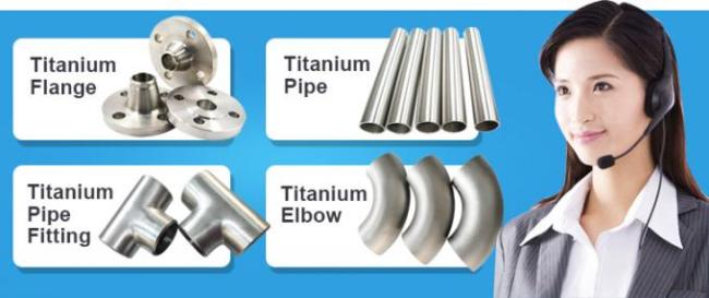 Gr2 Gr7 Gr9 ANSI 150lbs 300 Ibs Class Titanium Blind Flange for pipeline 9