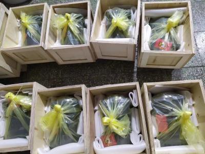 Chine A4VSO71LR2G/10L-PZB13N00 A4VSO125EO2/30R-VPB25N00 Moteur à injection à vendre