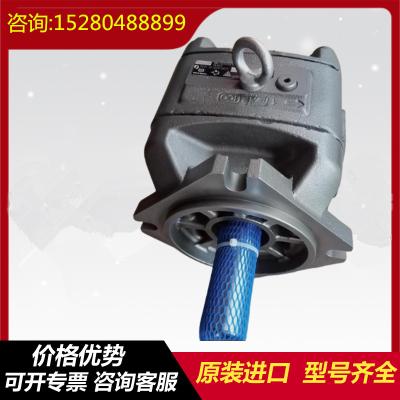China PGH5-3X/250RE07VE4PGH5-3X/063RE11VE4 Rexroth Gear Pump Cast Iron High Pressure Steel Plant Minería de carbón en venta