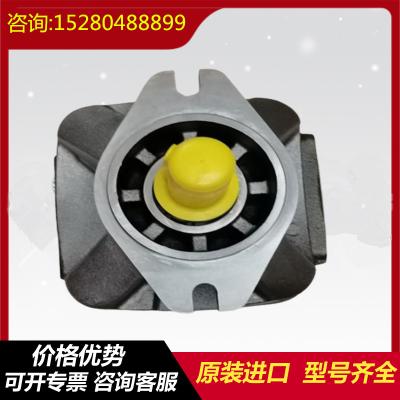 China PGH3-1X/013RE47ME4 PGH4-2X/020RF11VK0 Rexroth PGH Serie de engranajes bomba de aceite de alta presión Ductileiron en venta