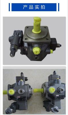 Cina PVV1-1X/046RA15UVB pompa a vele variabile della serie PV Rexroth in vendita
