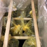 China D633K2048B OriginalM00Gservovalve for sale