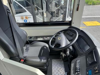 Cina Autobus urbano Zonson elettrico da 12 m, 31 posti, guida a sinistra, con 2 porte passeggeri e 30 posti in vendita
