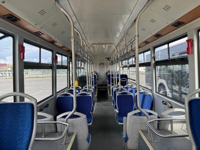 Cina Autobus urbano Zonson elettrico da 12 m, 31 posti, guida a sinistra, con 2 porte passeggeri e 30 posti in vendita