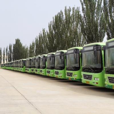 China Autobus diesel usati da 8 metri, durevoli, ideali per percorsi urbani e navetta for sale