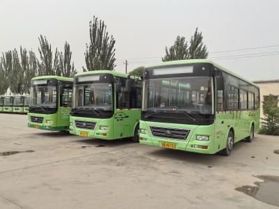 Cina Autobus urbano del 2017, usato, 8 metri, guida a sinistra (LHD), con design a 2 gradini e cilindrata motore 3800cc in vendita