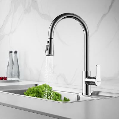 Cina 360 girando estragga il rubinetto della cucina dello spruzzatore ha lucidato di superficie in vendita