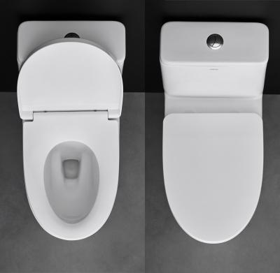 Cina 1,1 le toilette di un pezzo di GPF hanno prolungato la trappola ruvida a 12 pollici 300mm di S in vendita