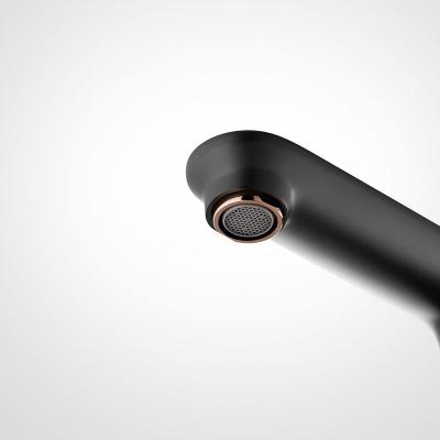 Cina La piattaforma diffusa del nero del rubinetto del bagno di 2 maniglie ha montato in vendita