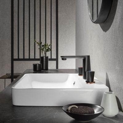 Cina La piattaforma diffusa del nero del rubinetto del bagno di 2 maniglie ha montato in vendita