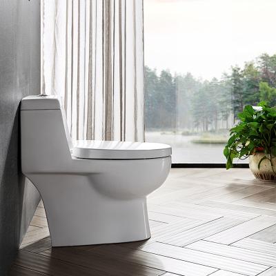 Китай Мягкий закрытый шар туалета WC керамический сифонирует цельный двойной приток продается
