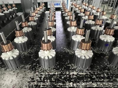 China Hoogwaardige rotoranker – Laag geluidsniveau, Sterke magnetische geleidbaarheid, Betrouwbare werking, Veelzijdige toepassing Te koop