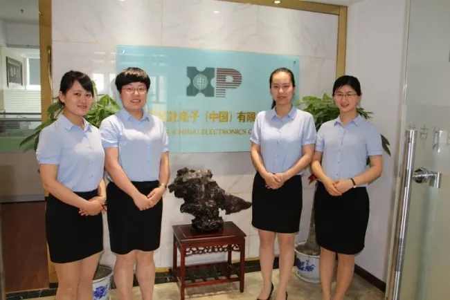 Top-Quality Common Mode Power Inductors (PI-TC14005)