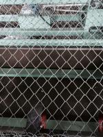 China Full Automatic double wire PLC Chain Link Diamond Mesh Machine for sale
