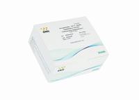 China Inflammation Detection PCT Rapid Test Kit High Stability ISO Quick test for sale