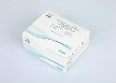 Cina Analisi quantitativa rapida del corredo 25T della prova di FIA POCT di WWHS NSE in vendita