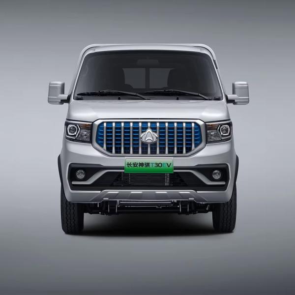 Quality 2024 Comfort Mini Truck Retail Electrical EV Automobile Commercial T30EV Energy for sale