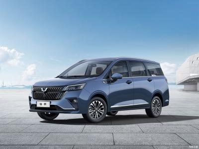 Cina Ride-On Electric EV Passenger Car La perfetta combinazione di comfort ed efficienza in vendita