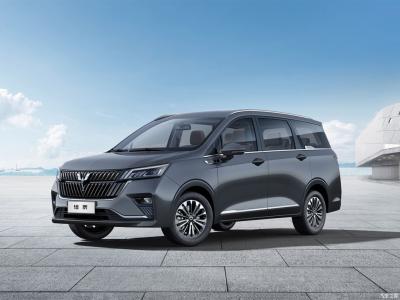Cina Ride-On Electric EV Passenger Car La perfetta combinazione di comfort ed efficienza in vendita