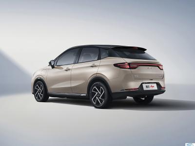 China 2024 Neta Aya 401 318 Lite Electric Hatchback Chinese EV Passenger Car Energy Vehicle for sale