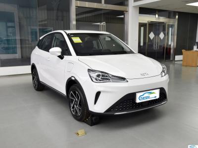 China 2024 Neta Aya 401 318 Lite Electric Hatchback Chinese EV Passenger Car Energy Vehicle for sale
