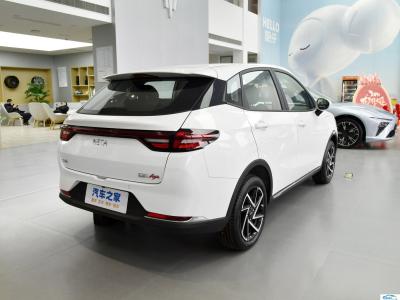 China 2024 Neta Aya 401 318 Lite Electric Hatchback Chinese EV Passenger Car Energy Vehicle for sale