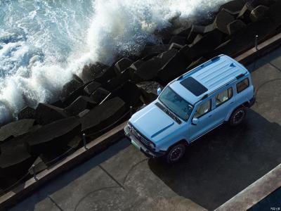Cina 2024 Great Wall Tank 300 Hi4 SUV off-road EV per veicoli elettrici da passeggeri off-road in vendita
