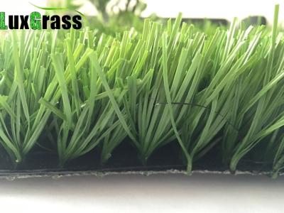 China SGS Approved Environmental Artificial Grass Carpet For Landscape Garden for sale