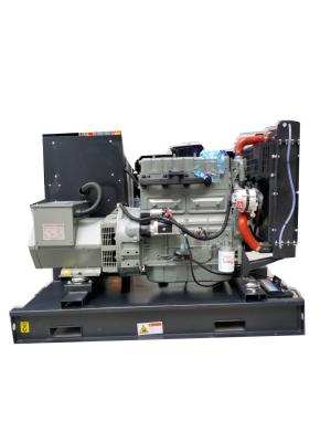 Cina Generatore ricardo diesel da 20 kW 18 kW 23 kVA per uso domestico in vendita