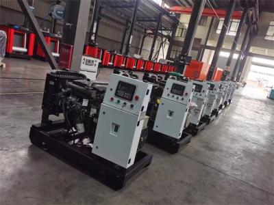 Cina Generatore ricardo diesel da 20 kW 18 kW 23 kVA per uso domestico in vendita