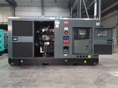 Cina 50kVA 40kW Diesel Fuel Type Yangdong Diesel Generator 50Hz 60Hz in vendita