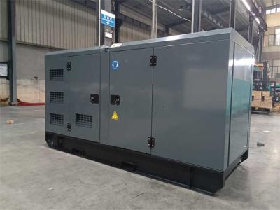 Cina Genset Yangdong silenzioso a basso rumore con sistema di avvio manuale elettrico 40kVA in vendita