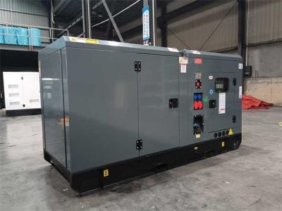 Cina Generatori diesel a Ricardo a 50 kVA insonorizzati Controller Smartgen silenzioso in vendita