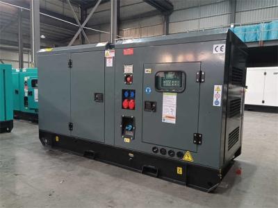 Cina Generatori diesel a Ricardo a 50 kVA insonorizzati Controller Smartgen silenzioso in vendita