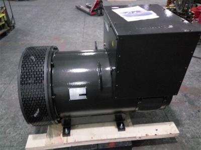 Cina 15kVA 18kVA 20kVA alternatore sincrono senza spazzole 22kVA dinamo senza spazzole per applicazioni Genset in vendita