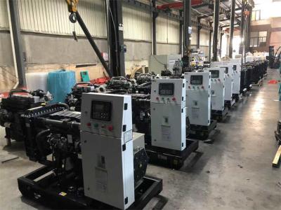 Cina Generatore 40KW 50KVA tipo alternatore senza spazzole Ricardo con controller digitale TG6120N in vendita