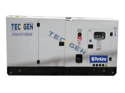 Cina 196kW 60Hz Self Start Diesel Generator With 300A Built In ATS in vendita