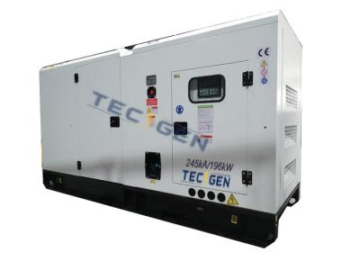Cina 196kW 60Hz Self Start Diesel Generator With 300A Built In ATS in vendita