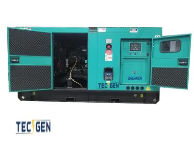 Cina Standby Power 220kW Diesel Generator Soundproof Canopy Powered By Chinese Diesel Engine in vendita