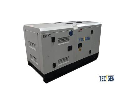 Cina Silent Chinese Diesel Generator 45kVA Yangdong Genset Silent Enclosed Canopy For Backup in vendita