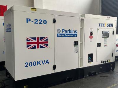 Cina 60Hz 160kW Canopy insonorizzato Perkins Generatore di energia diesel per uso esterno in vendita