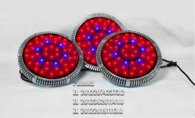 China 2018 best 300w cheap LED grow lights red blue uv 4 buttons on/off for sale